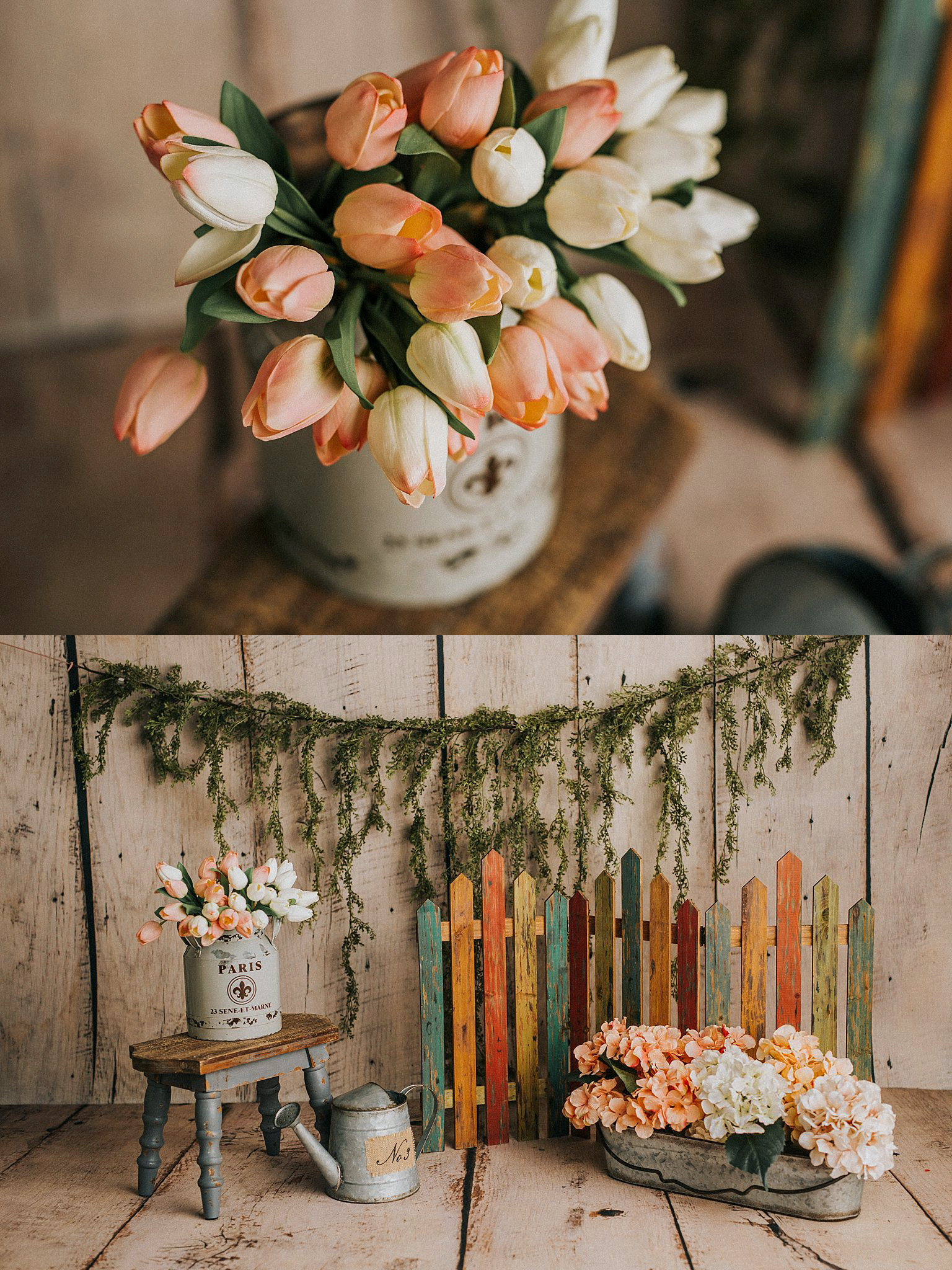 Baby Lamb Sessions, with live baby lambs, Minneapolis Photographer ...